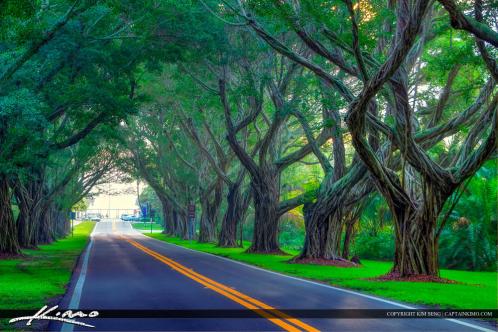 Hobe Sound at Bridge Road with Tree Coverage to Beach | HDR Photography ...